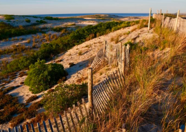Fort Miles Museum | Explore. Learn. Remember.